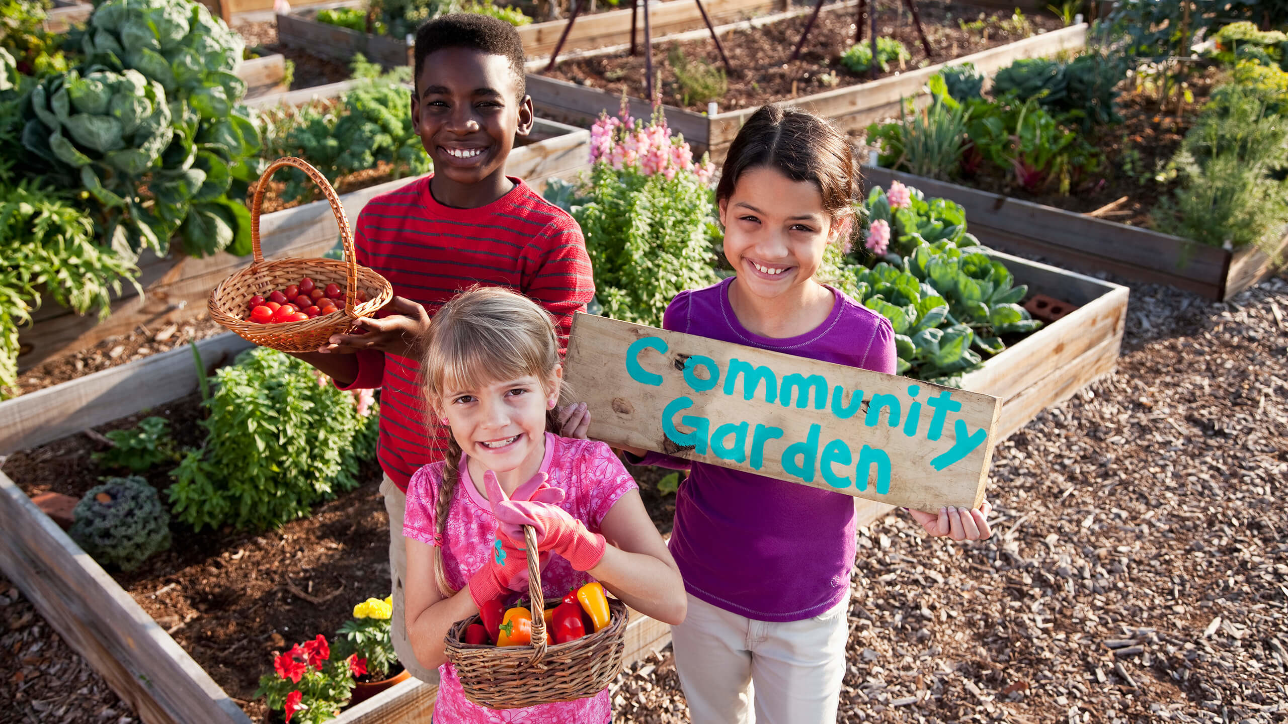 Healthy Community Grants - Peace Arch Hospital Foundation